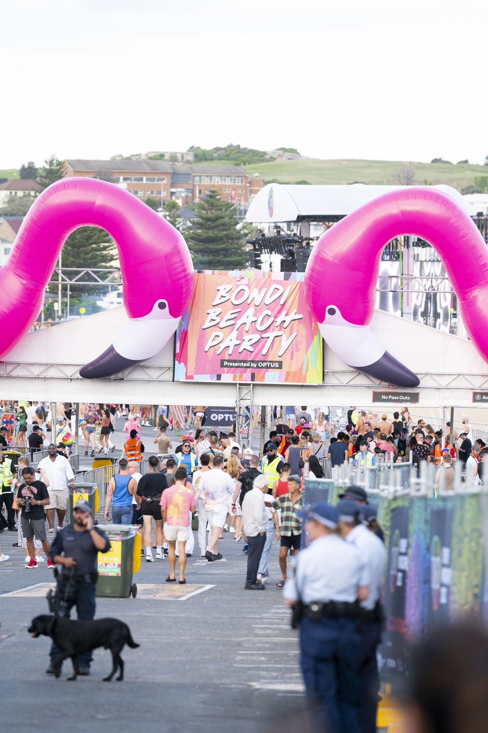 Sydney WorldPride: well done TJHB! - Transdev Australasia